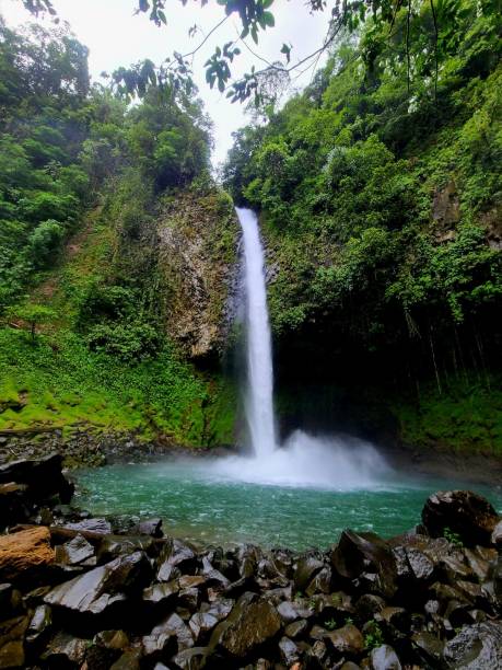 Free mesmerizing waterfall stock photos. Download the best free ...