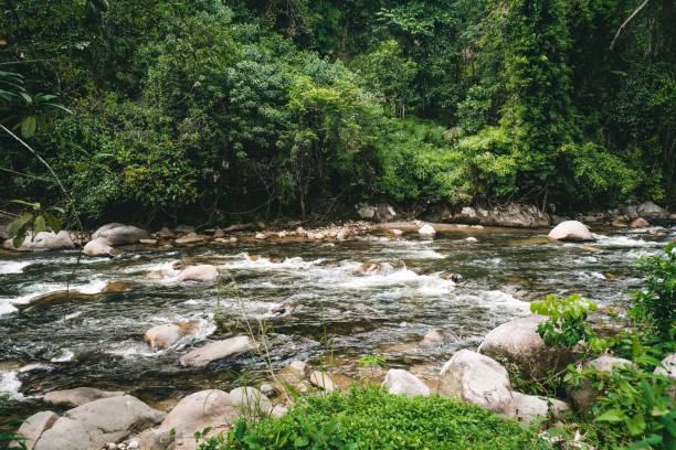 Upstream Pictures [HD] | Download Free Images on Unsplash