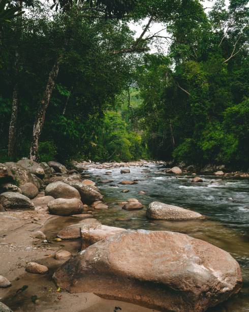 Upstream Pictures [HD] | Download Free Images on Unsplash