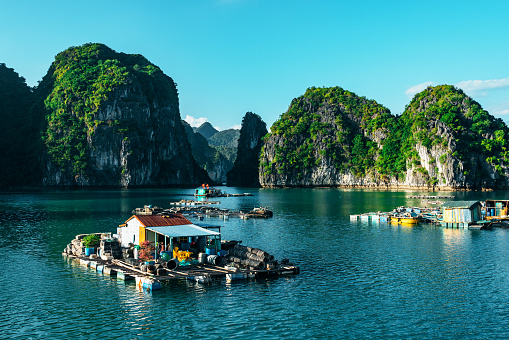 Vietnam Travel Pictures | Download Free Images on Unsplash Vietnam Travel Pictures | Download Free Images on Unsplash