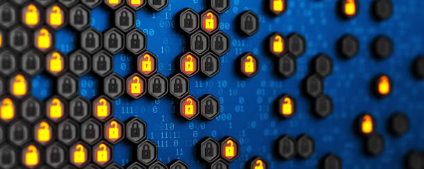 Security Breach Pictures | Download Free Images on Unsplash
