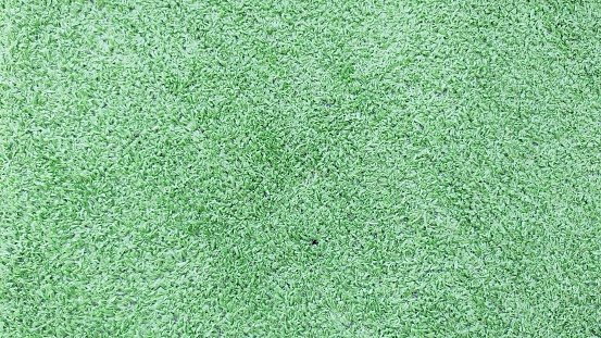 Abstract Texture Of Grass Plants Surface For Background Design Fill