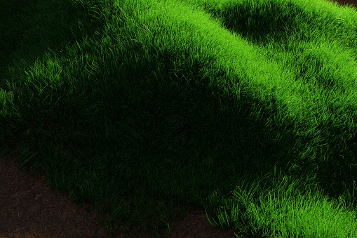 Rumput Hijau Padang Rumput Alami Realistis Untuk Desain Dan Lainlain