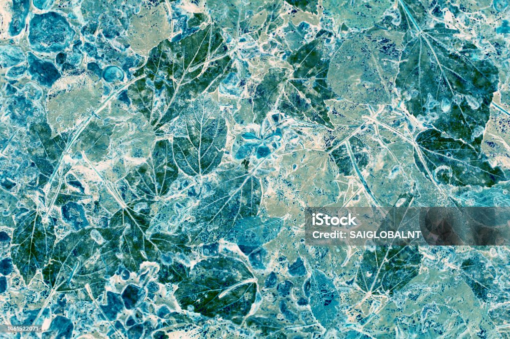 Glacier Color Manipulated Fallen Leaf Shaped Patchwork Texture Looking Like Marble Crack