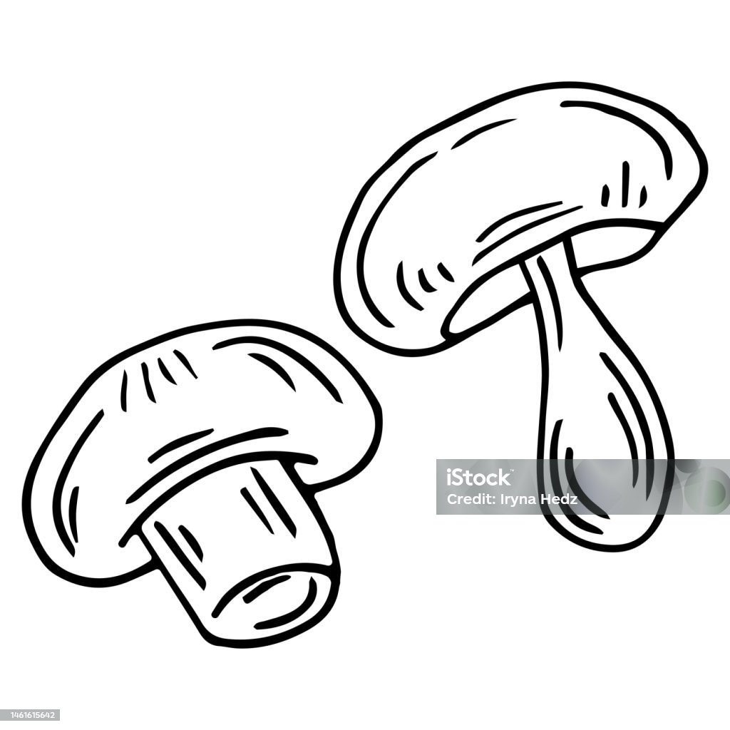 Due Funghi Porcini Monocromatici Disegno A Mano Disegno Line Art ... Due Funghi Porcini Monocromatici Disegno A Mano Disegno Line Art ...