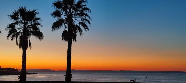 Parede Pictures | Download Free Images on Unsplash