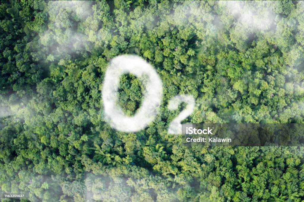 Oksigen Awan O2 Dan Molekul Karbon Dioksida Co2 Penyerapan Karbon