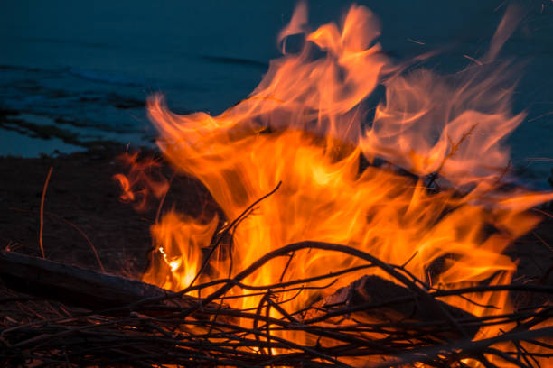 Free Stock Photo of Fire Reflection Shows Raging Bonfire And Campfire ...