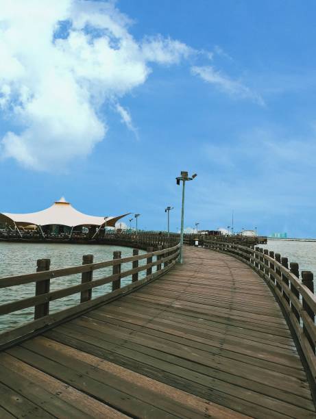 Ancol Pictures | Download Free Images on Unsplash