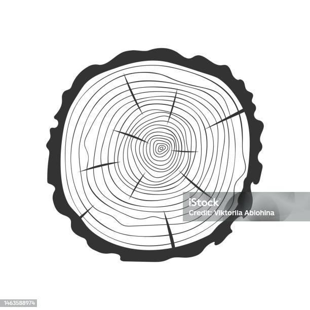 Tree Rings In Doodle Style Hand Drawn Trunk Cross Section Texture