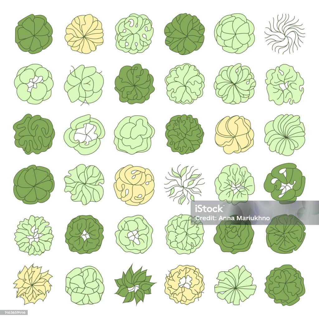 Tree For Architectural Floor Plans Entourage Design Various Trees Bushes And Shrubs Top View For