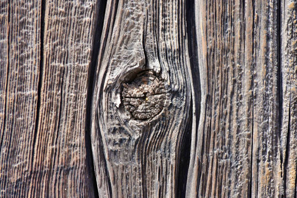 Free picture: stain, texture, plank, dirty, old, knot, dark, rough ...