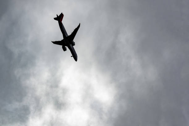 Free tailspin stock photos. Download the best free tailspin images at ...