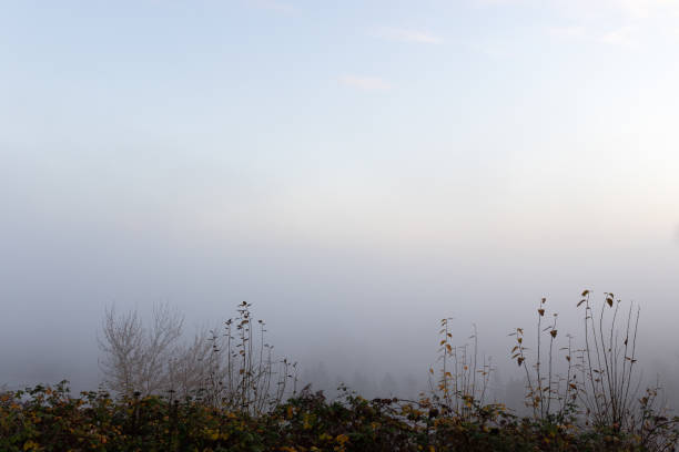 Free Stock Photo of Autumn foliage on mountain with low fog patches ...