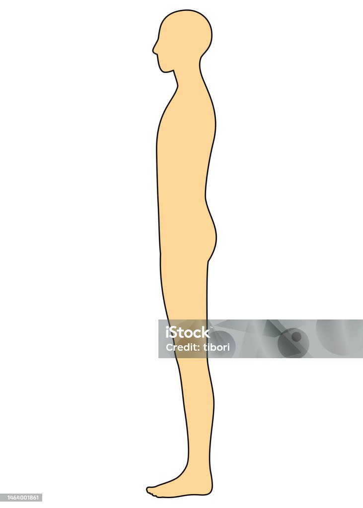 Human Body Outline Side Illustration 02 Stock Illustration Download Image Now Ankle Back