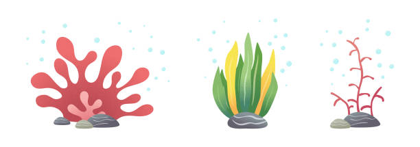 190 Sea Grass Material Stock Illustrations Royalty Free Vector