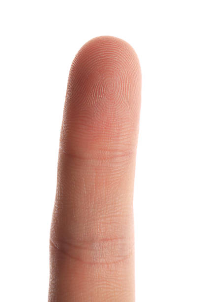 940+ Fingerprint Index Finger Stock Photos, Pictures & Royalty-Free ... 940+ Fingerprint Index Finger Stock Photos, Pictures & Royalty-Free ...