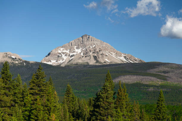 Free picture: tree, treetop, mountain, sky, cloud, grass, plant