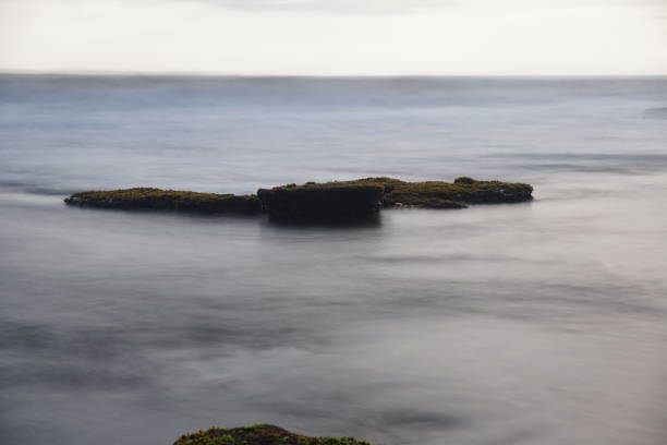 Tanah Pictures | Download Free Images on Unsplash