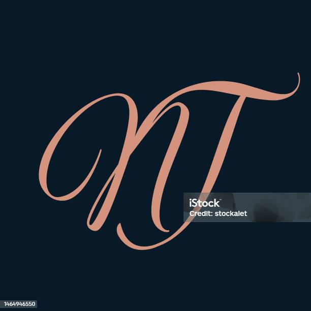 Logo Monogramme Nt Lettre Majuscule N Lettre T Caractères De Signature