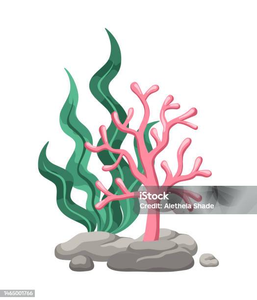 Coral Reefs With Algae Seaweed And Rocks Vector Cartoon Illustration