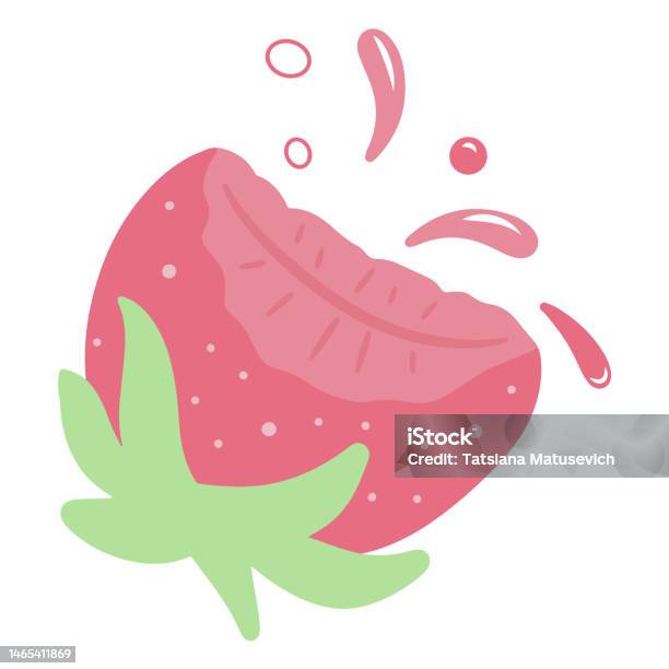 Fraises Avec Des Gouttes Deau Illustration Vectorielle De Style Dessin