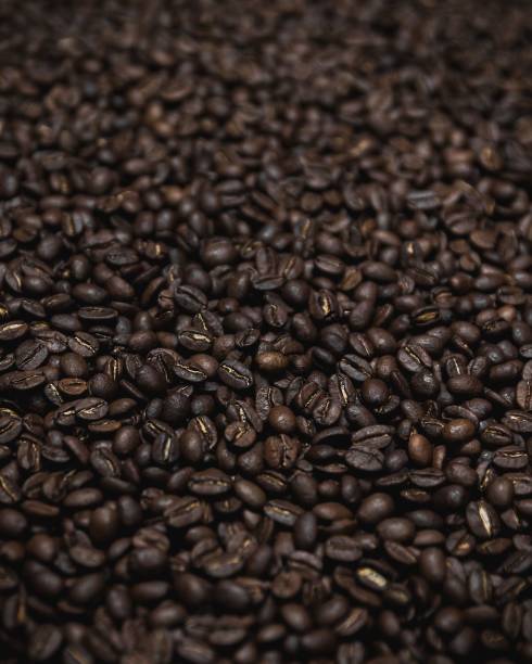 Roastery Pictures | Download Free Images on Unsplash