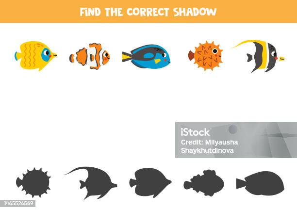 Find The Correct Shadows Of Cute Sea Fish Logical Puzzle For Kids Stock ... Find The Correct Shadows Of Cute Sea Fish Logical Puzzle For Kids Stock ...