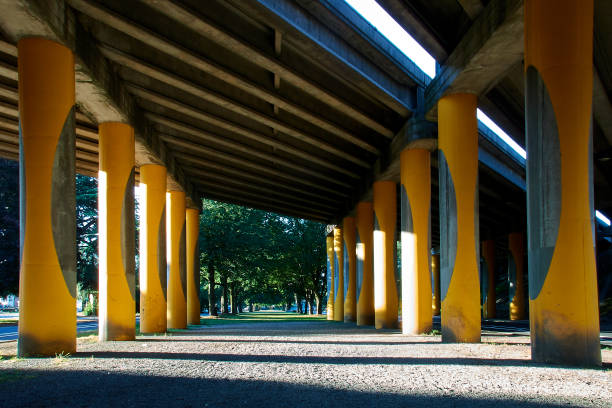 Free Stock Photo of Culvert underpass | Download Free Images and Free ...
