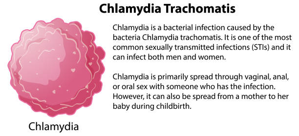 150+ Chlamydia Stock Illustrations, Royalty-Free Vector Graphics & Clip ... 150+ Chlamydia Stock Illustrations, Royalty-Free Vector Graphics & Clip ...