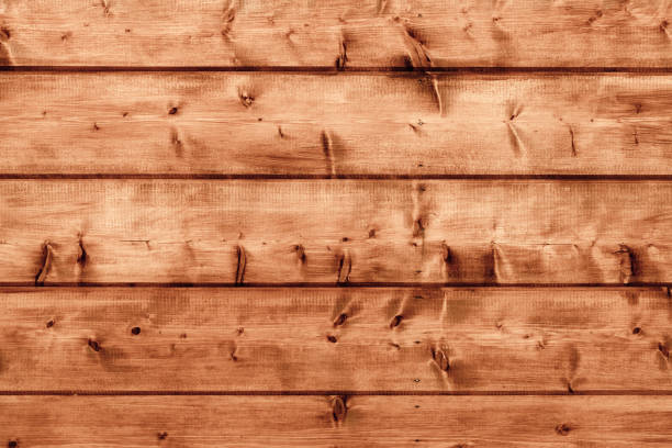 Free picture: Yellowish brown pine plank with knots texture