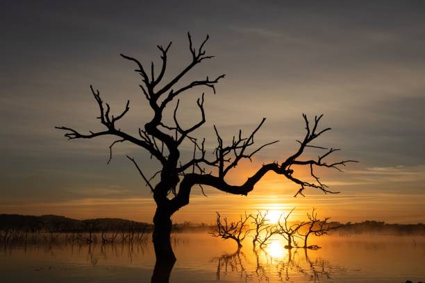 Sad Sunset Pictures | Download Free Images on Unsplash