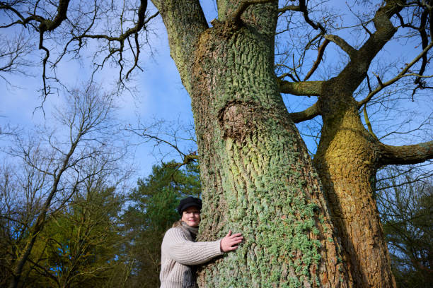 Free Stock Photo of Person holding tree bark image | Download Free ...
