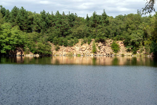 Free picture: forest, lakeside, shore, water, landscape, river, lake ...
