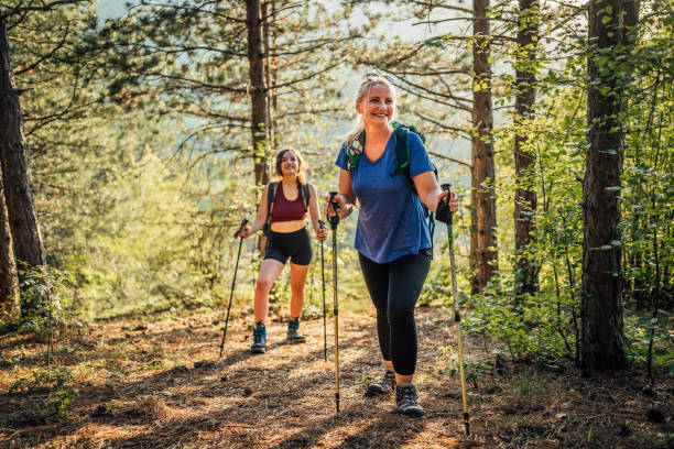 Free picture: hiking, mountain climber, forest path, sunny, summer ...