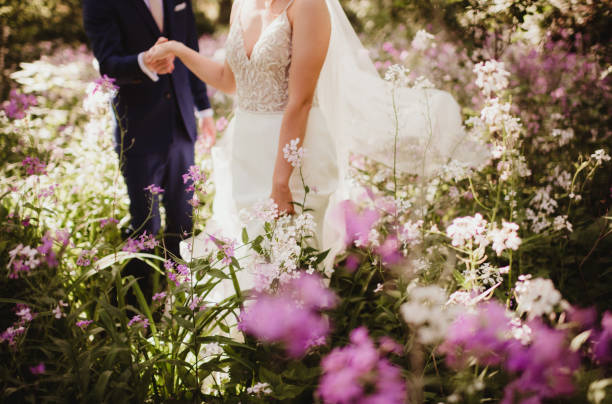 Free picture: bride, beautiful photo, groom, landscape, photography ...
