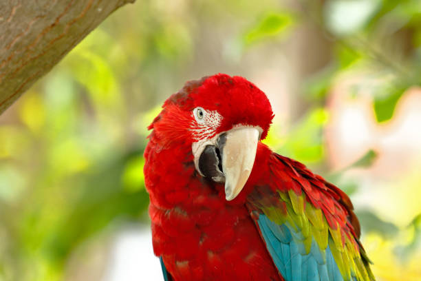 Rojo Pictures | Download Free Images on Unsplash