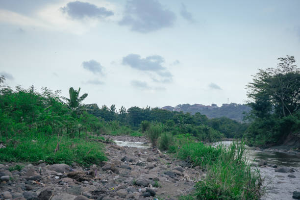 Free rocky riverside stock photos. Download the best free rocky ...