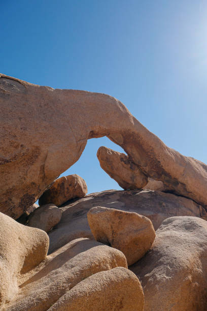 Arche Pictures | Download Free Images on Unsplash