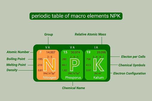 Tavola Periodica Dei Macroelementi Npk Azoto Fosforo E Kalium Potassio