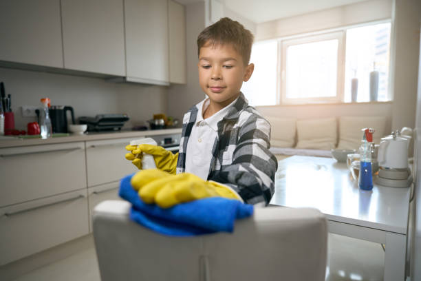 Free Stock Photo of Cute boy at home cleaning | Download Free Images ...