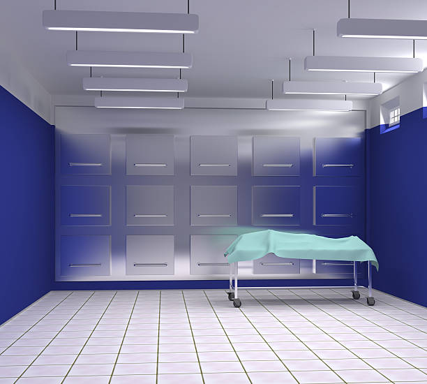 Morgue Pictures | Download Free Images on Unsplash