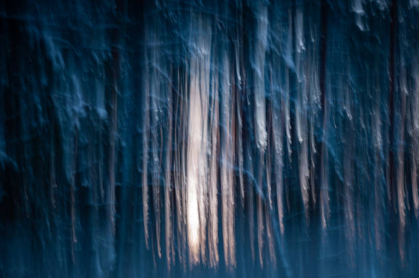 Intentional Pictures | Download Free Images on Unsplash