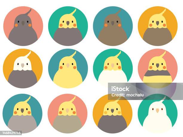 Set Of Icons Of Cockatiels In Various Colorings Stock Illustration