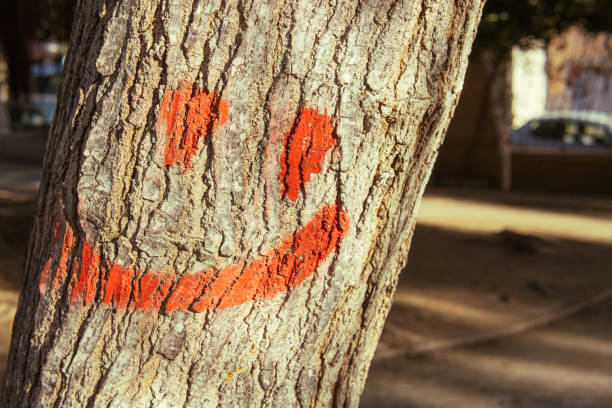 Free Stock Photo of Smiley Face Painted on a Tree | Download Free ...