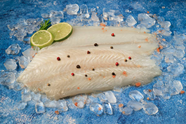 Free picture: freshly frozen, flounder flatfish, flukes, paralichthys ...