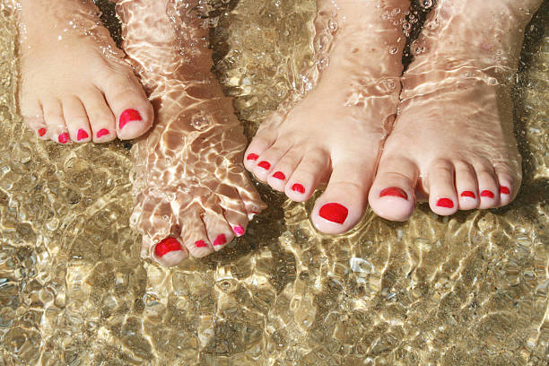 Pam+Bondi+Feet Photos, Download The BEST Free Pam+Bondi+Feet Stock ...