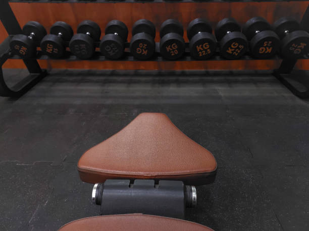 Free picture: bench press, gym, strength, bodybuilding, powerlifting ...