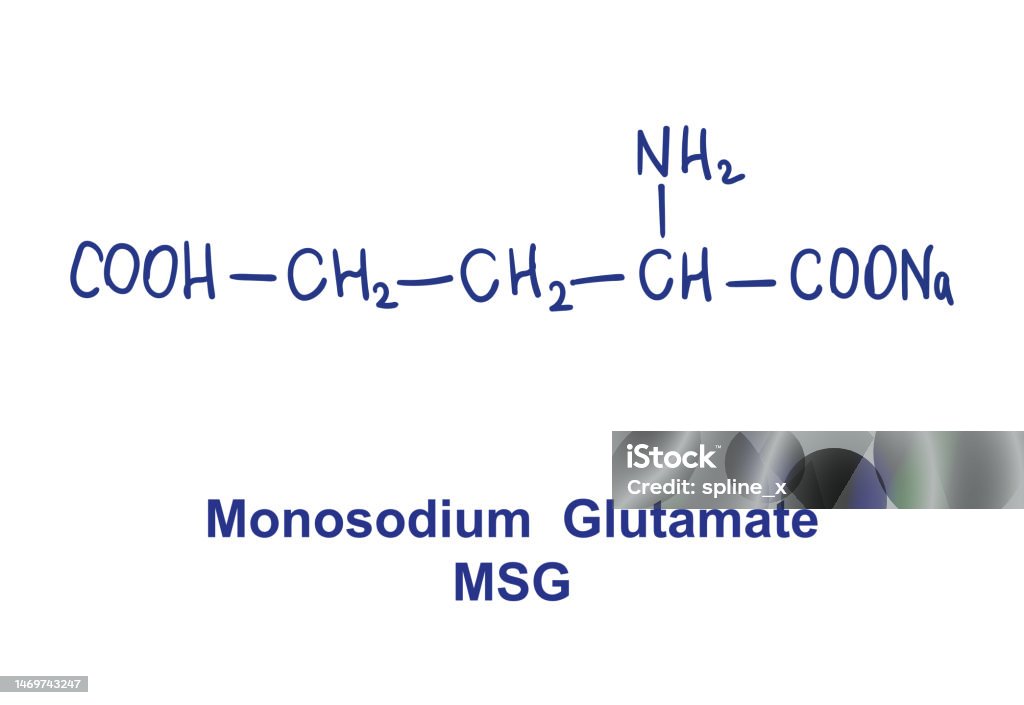 Monosodium Glutamate Msg Chemical Structure Vector Illustration Hand ... Monosodium Glutamate Msg Chemical Structure Vector Illustration Hand ...