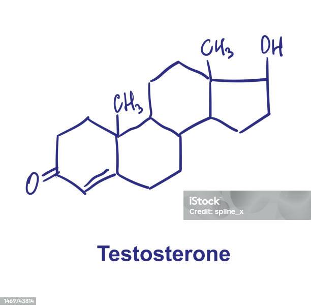 Structure Chimique De La Testostérone Illustration Vectorielle Dessiné